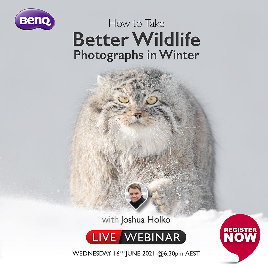 Register Your Interest! | LIVE Webinar with Joshua Holko | BenQ AU