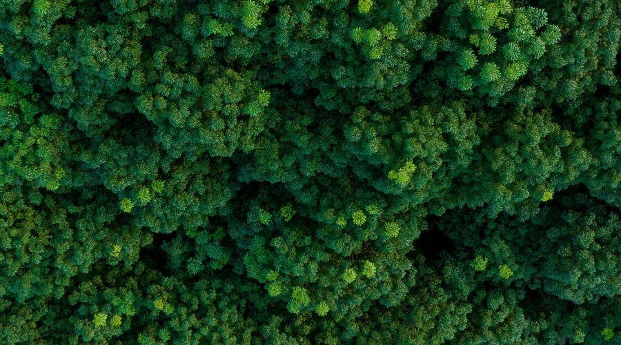 Product Carbon Footprints | BenQ US