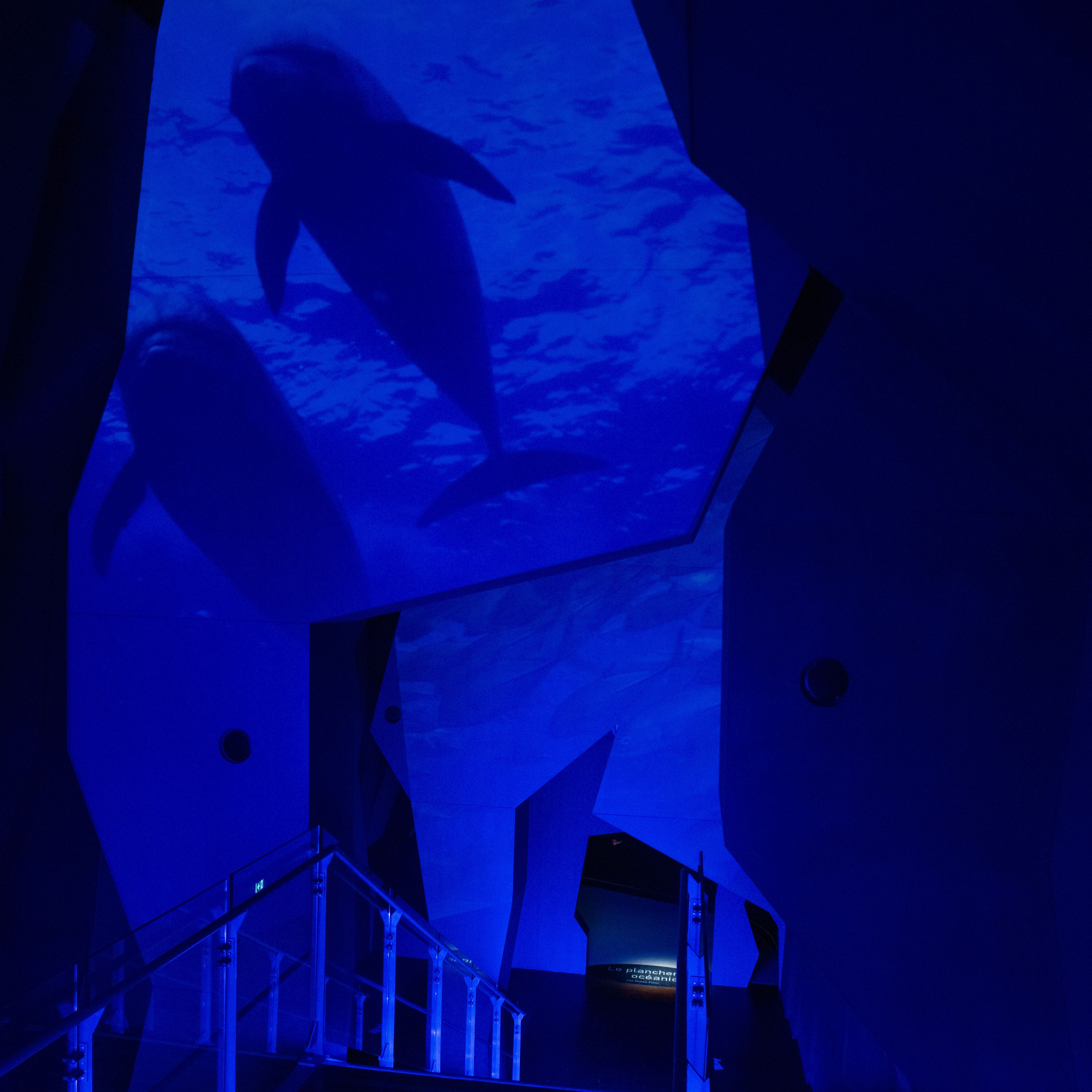 Immersive & Simulation Projection | BenQ Business Solutions