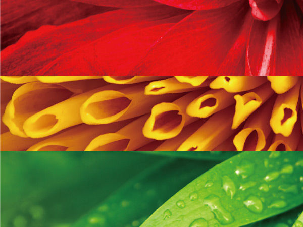 What Is BenQ CinematicColor Technology?｜BenQ Singapore